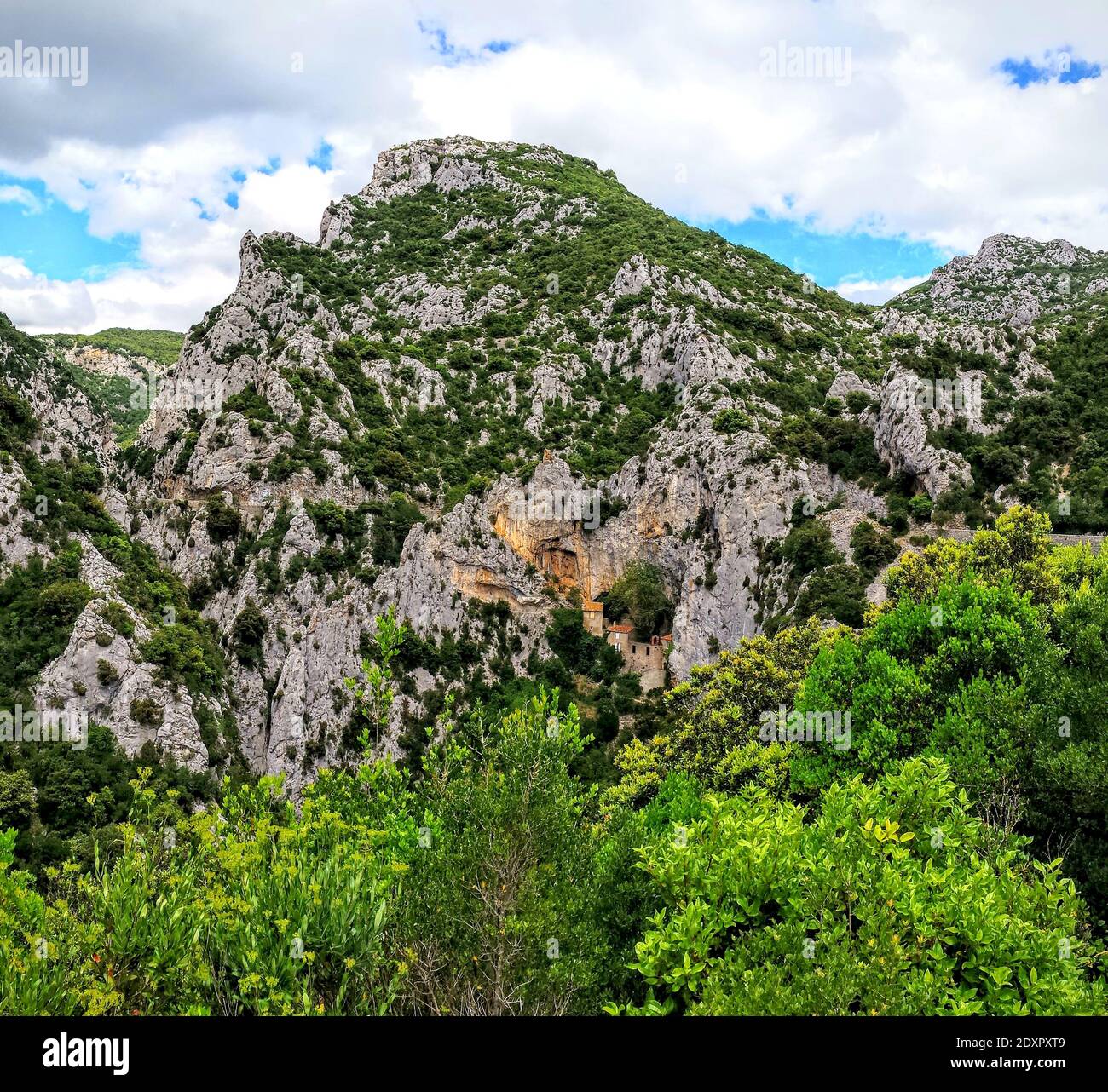 Paul range state forest hi-res stock photography and images - Alamy