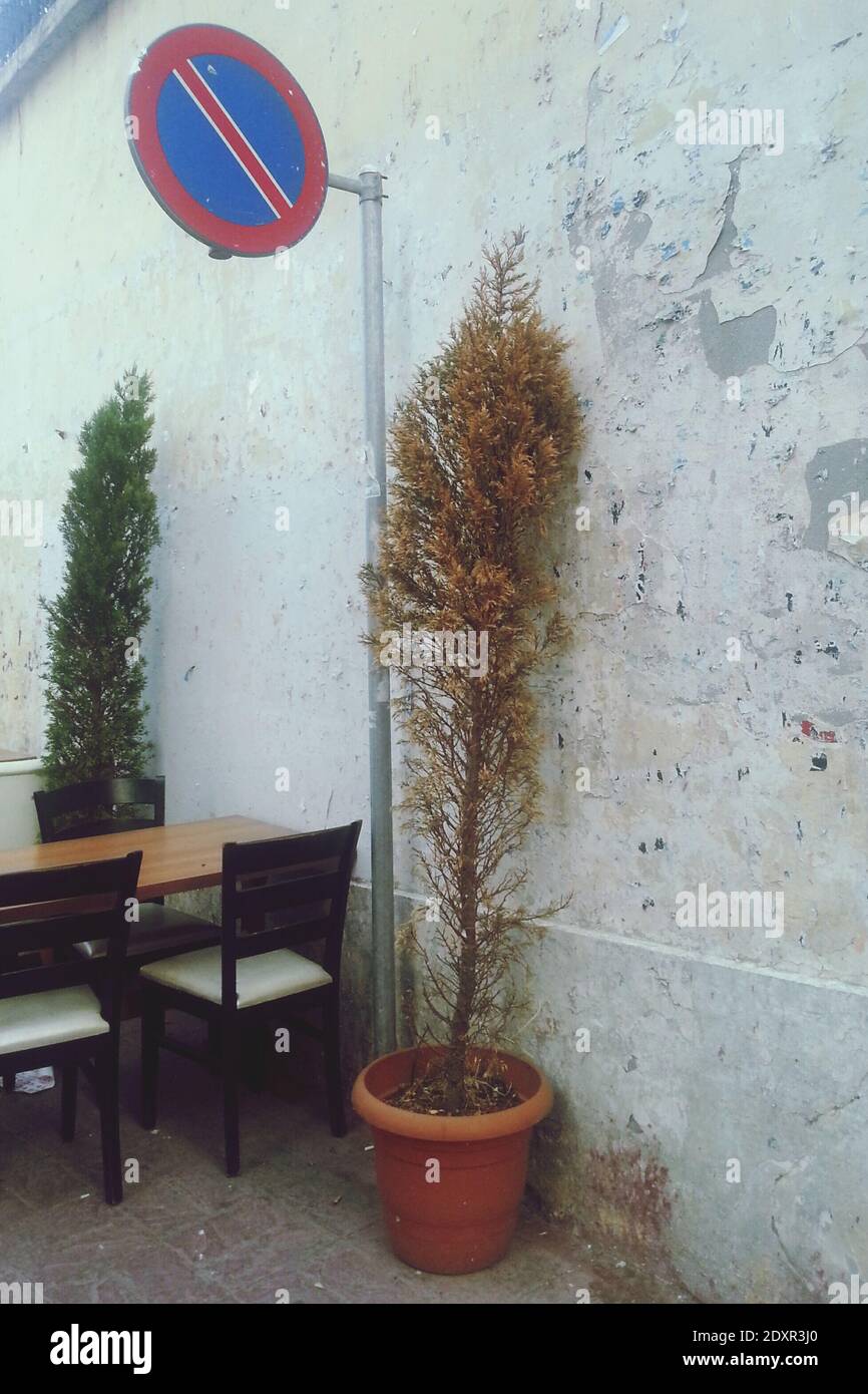 Plant dead alive hi-res stock photography and images - Alamy