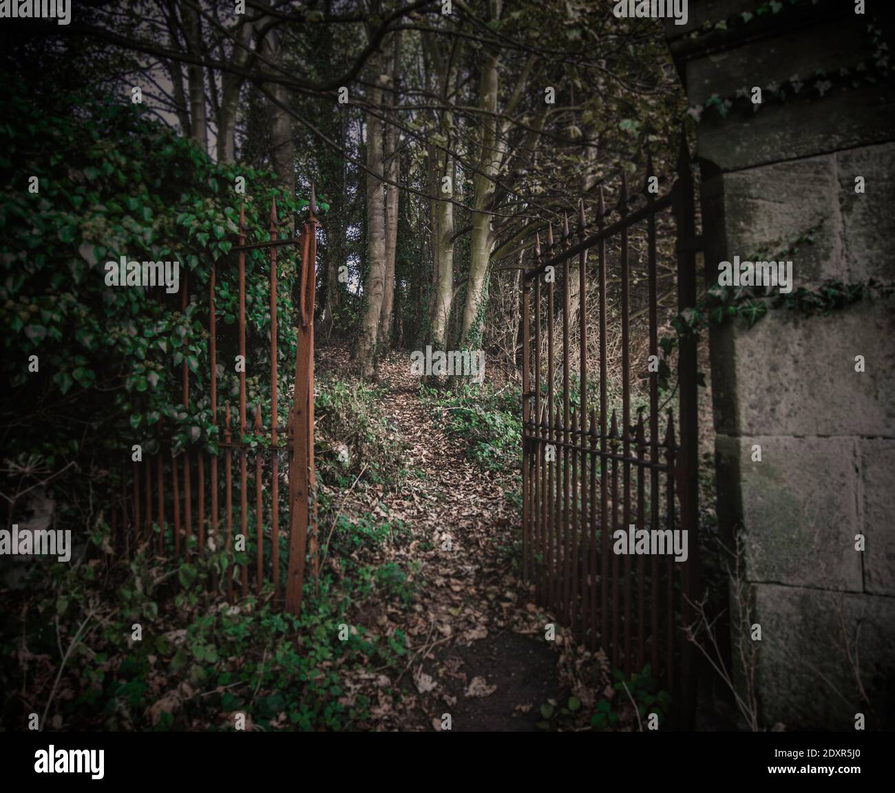 See Thru Gates High Resolution Stock Photography and Images - Alamy
