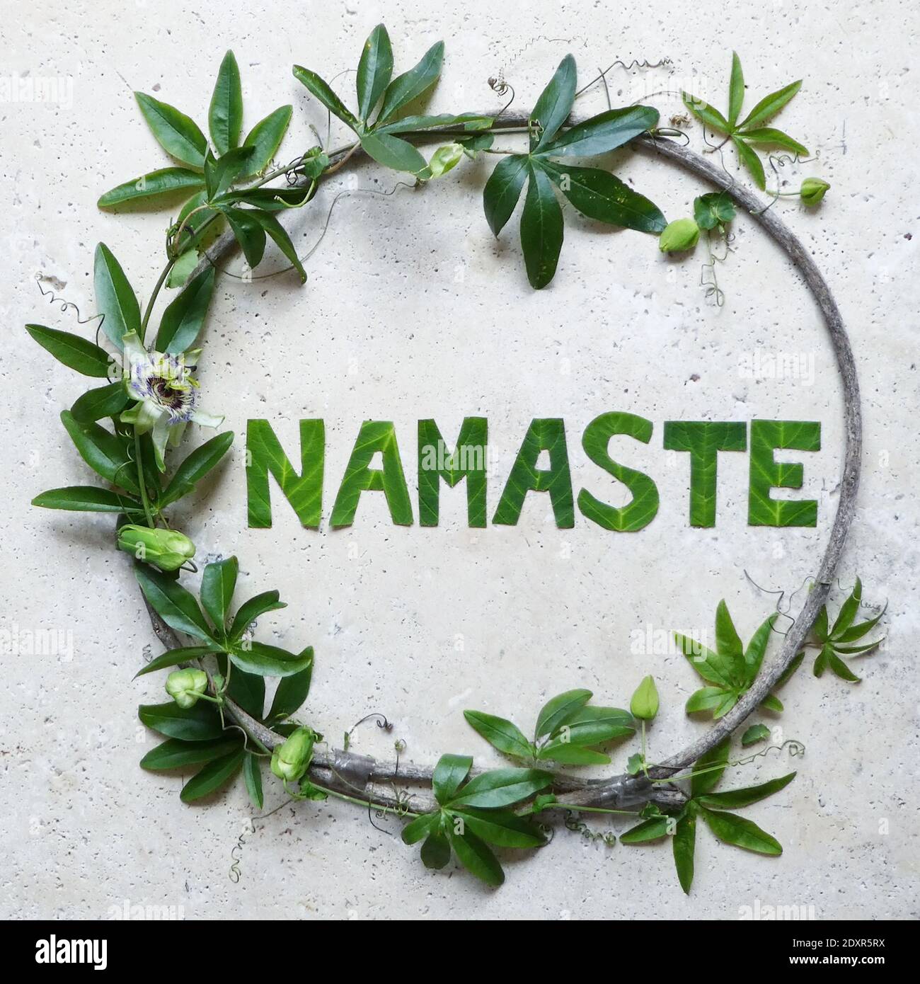 Capital letter g made of leaves on white background Stock Photo - Alamy