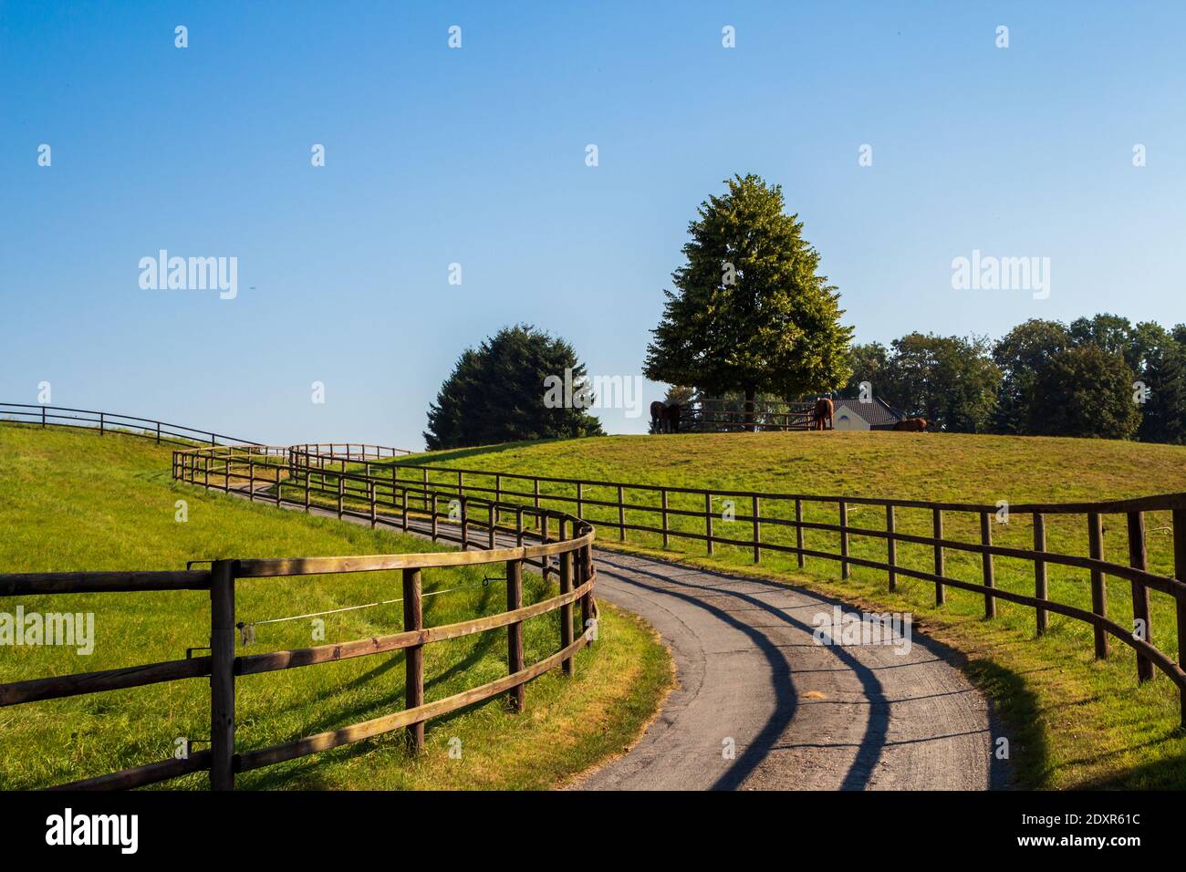 Curved hedges hi-res stock photography and images - Alamy