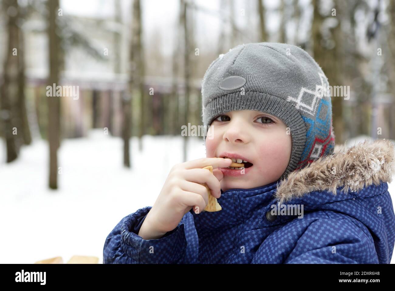 Boy eating biscuit in a winter park Stock Photo - Alamy