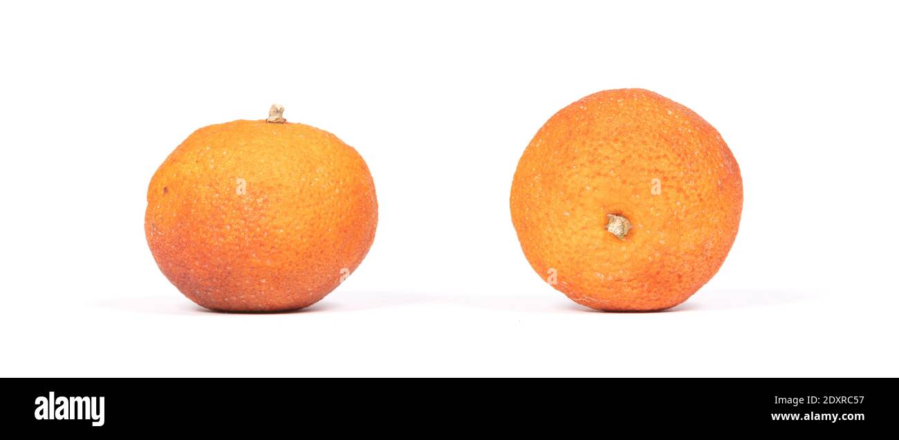 Ordinary old and dry mandarin, isolated on white Stock Photo - Alamy