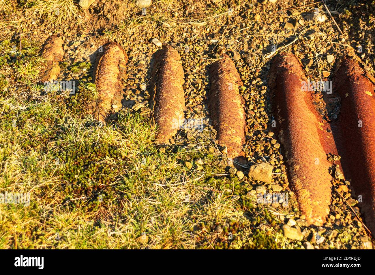 Grane Road decoy site Stock Photo - Alamy