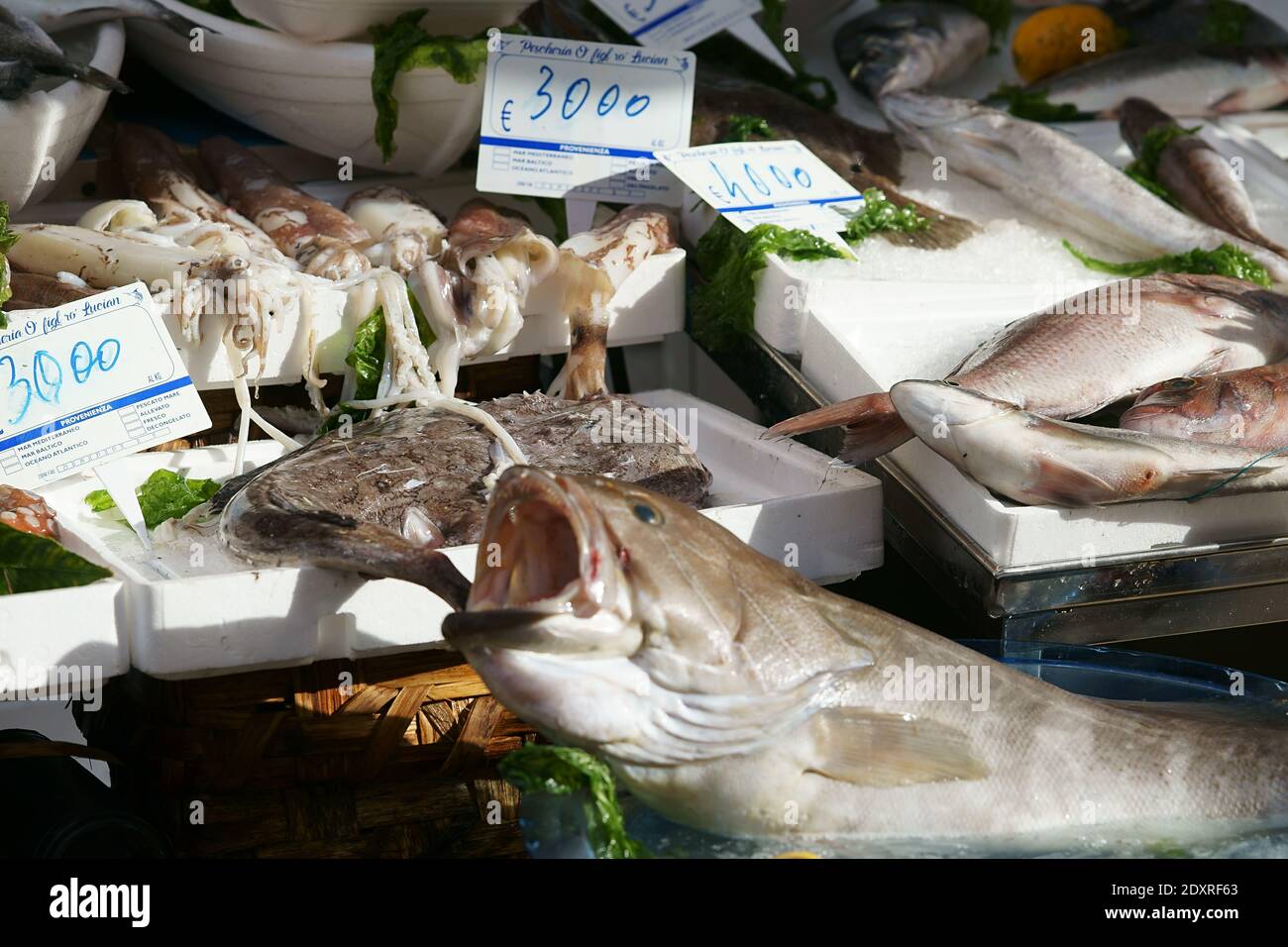 Fish and seafood for sale at a market in Naples, Italy Stock Photo - Alamy