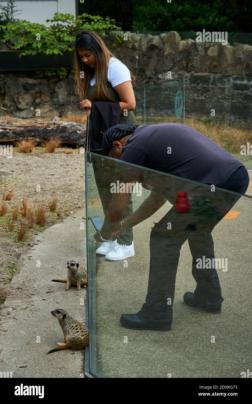 People disturbing animals hi-res stock photography and images - Alamy