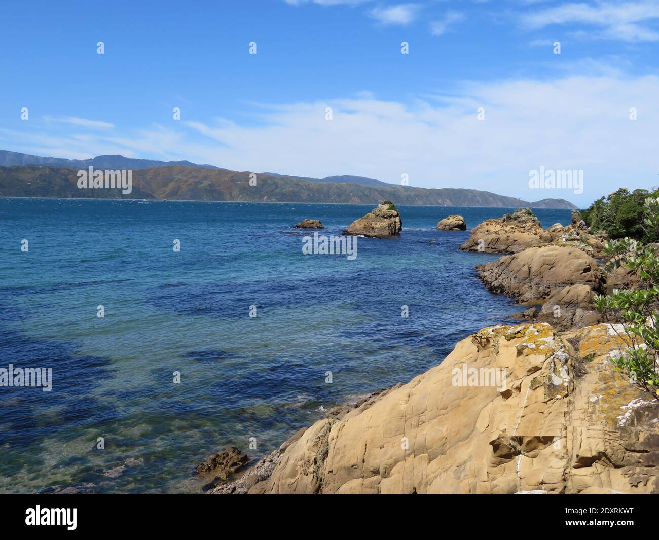 Miramar New Zealand High Resolution Stock Photography and Images - Alamy