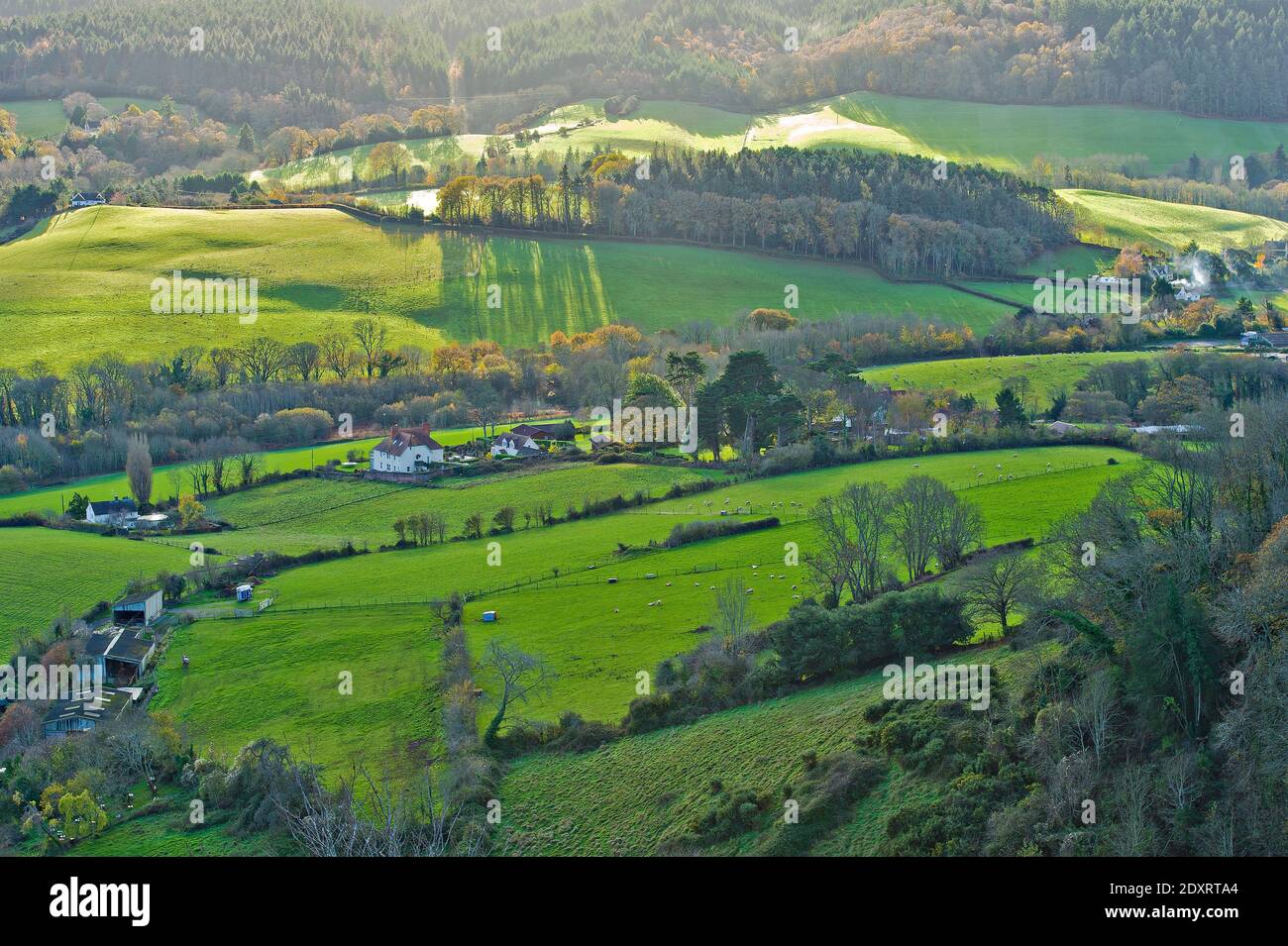 Minehead tourist attraction hi-res stock photography and images - Alamy