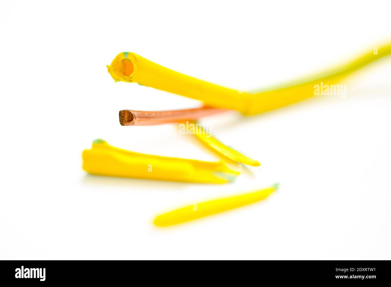 Macro detail of peeled copper wire on white Stock Photo - Alamy
