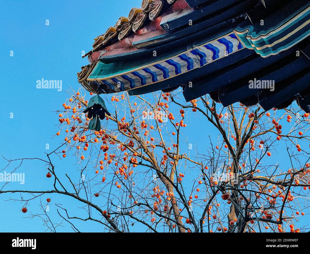 The Yonghe Temple (Lama Temple) in Beijing, China Stock Photo - Alamy