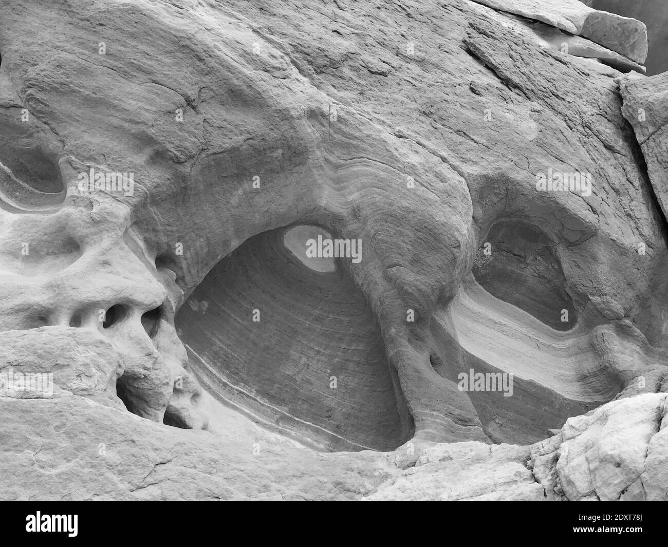 White close hi-res stock photography and images - Alamy