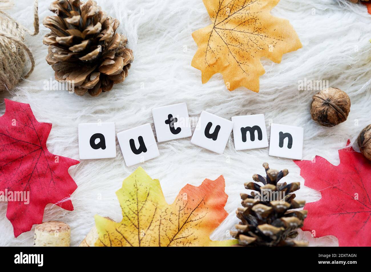 The word autumn written with wooden letters and dry leaves on white ...