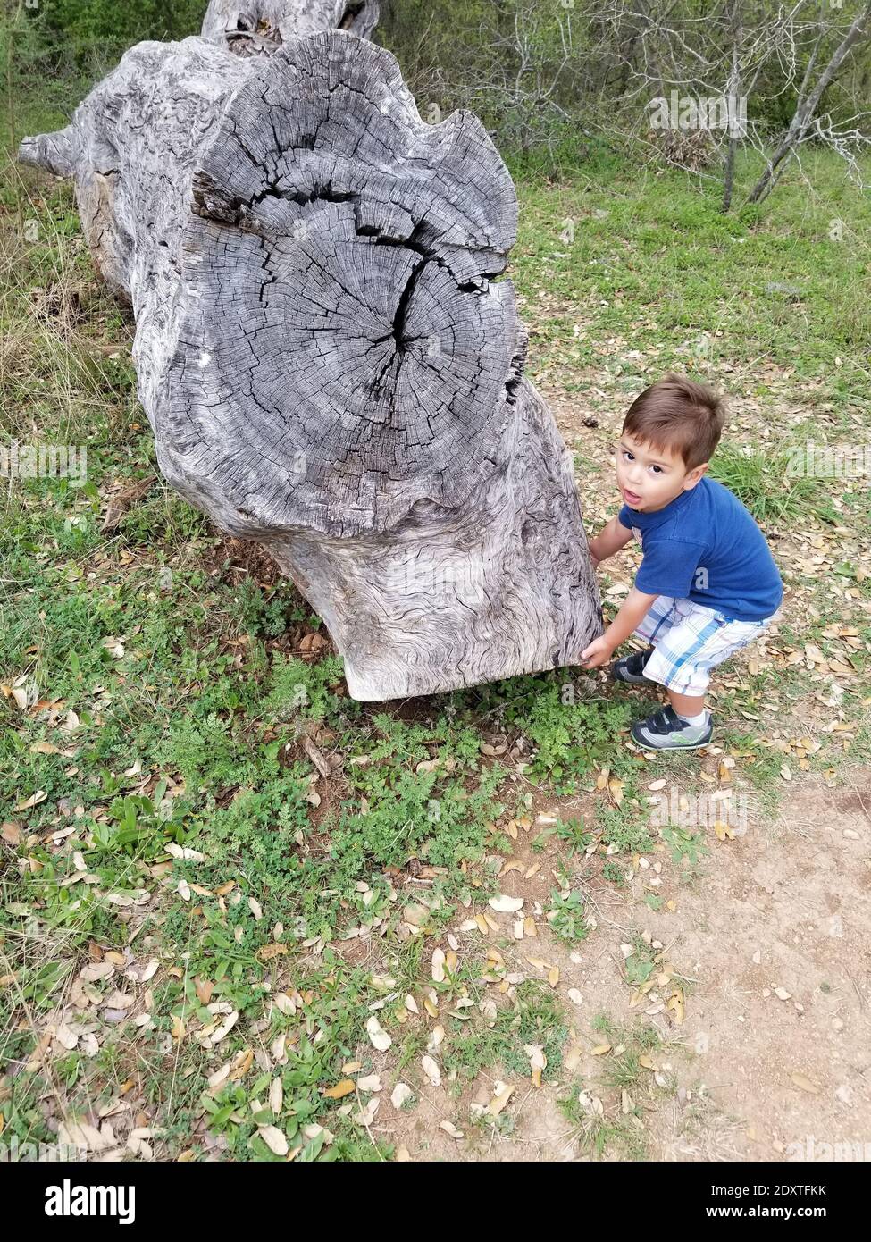 Boy Touching Tree Trunk High Resolution Stock Photography and Images ...
