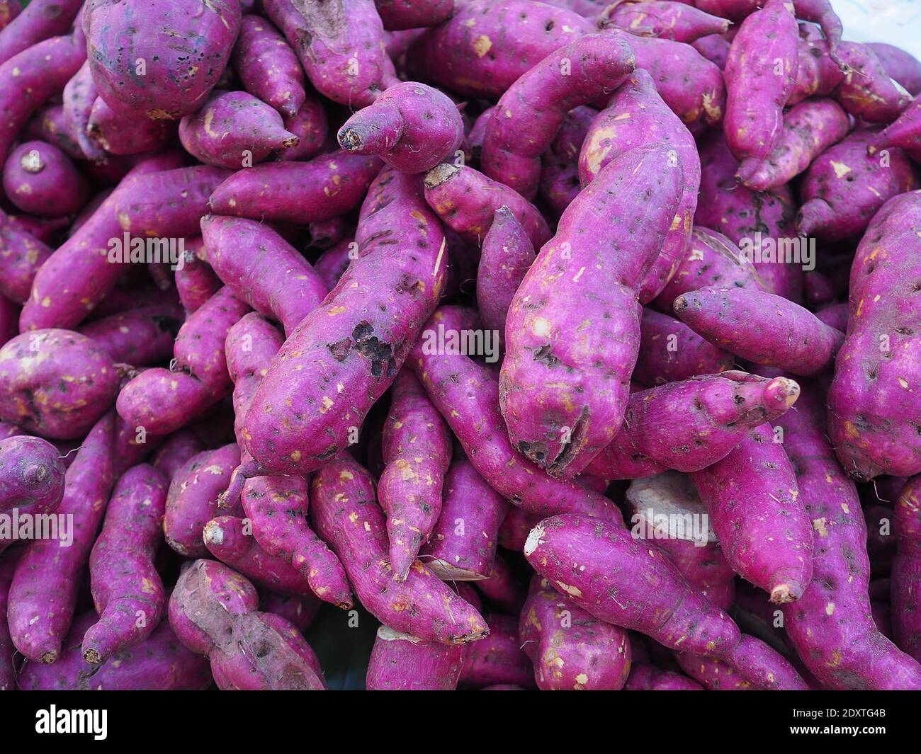 Purple yams hi-res stock photography and images - Alamy