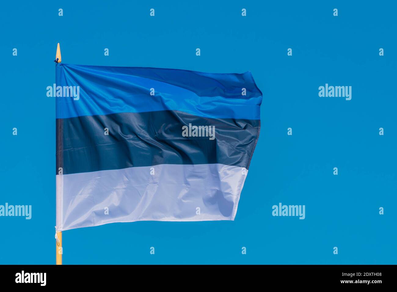 Flag of Estonia on blue sky background flying in strong wind. Estonian ...