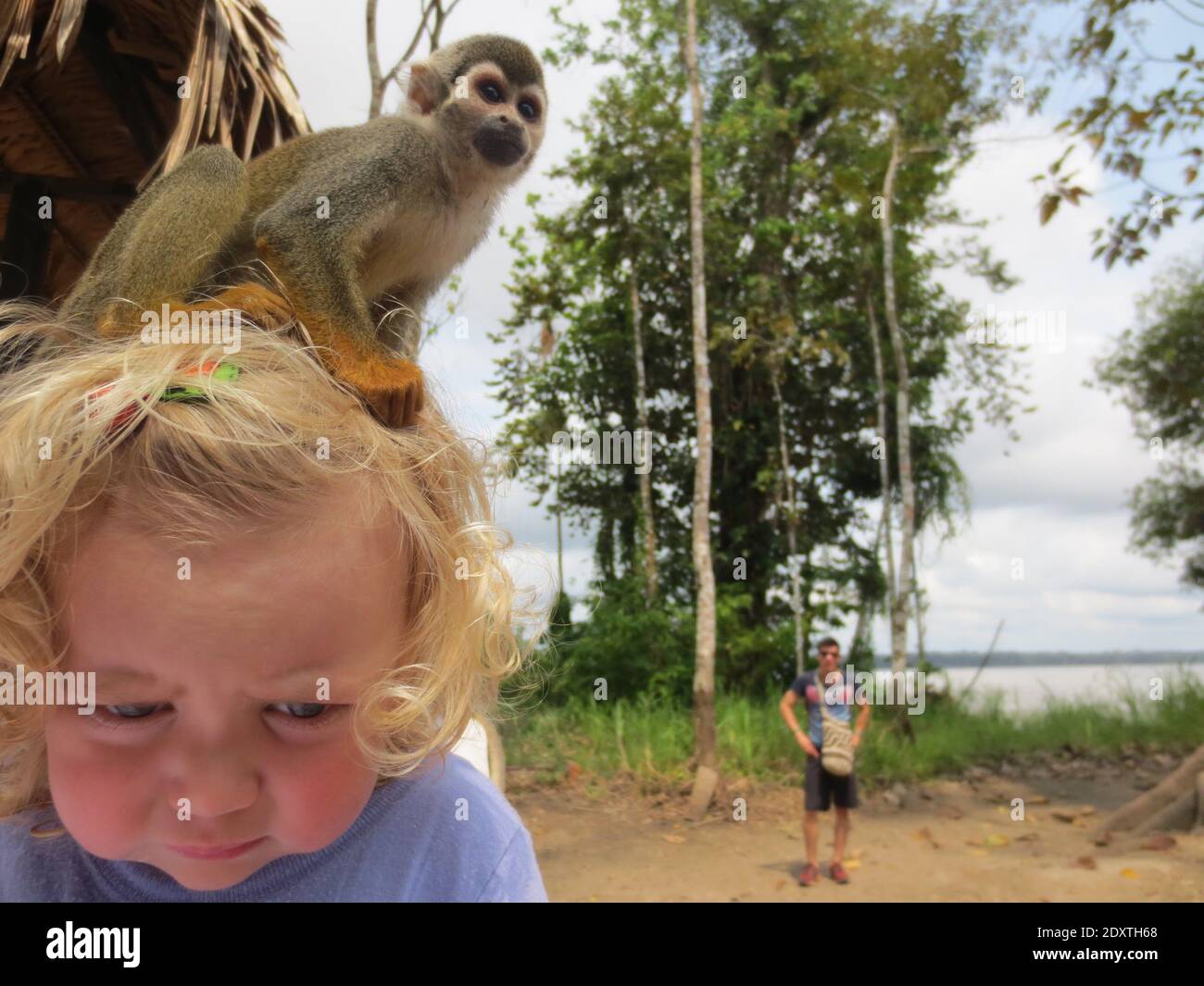 Blond monkey hi-res stock photography and images - Alamy