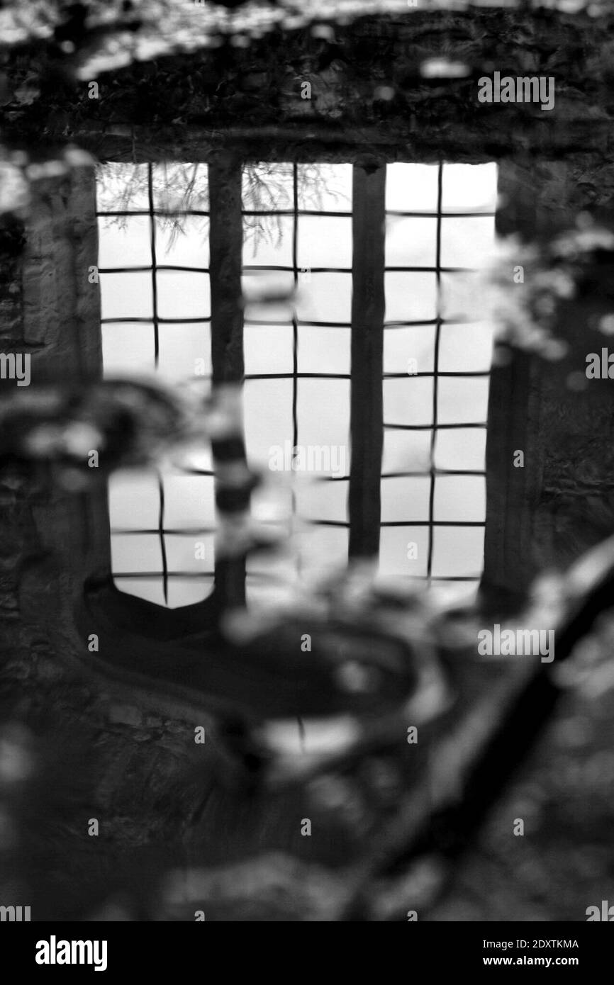 Trees through window Black and White Stock Photos & Images - Alamy