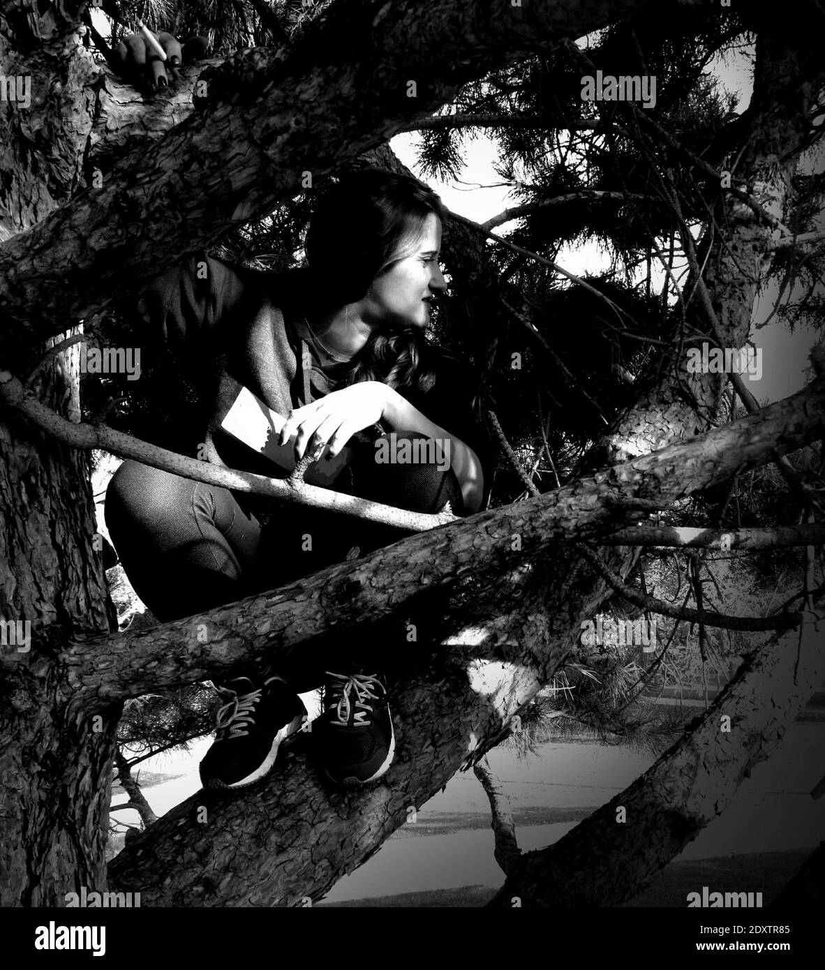 Human hand holding tree branch Black and White Stock Photos & Images ...