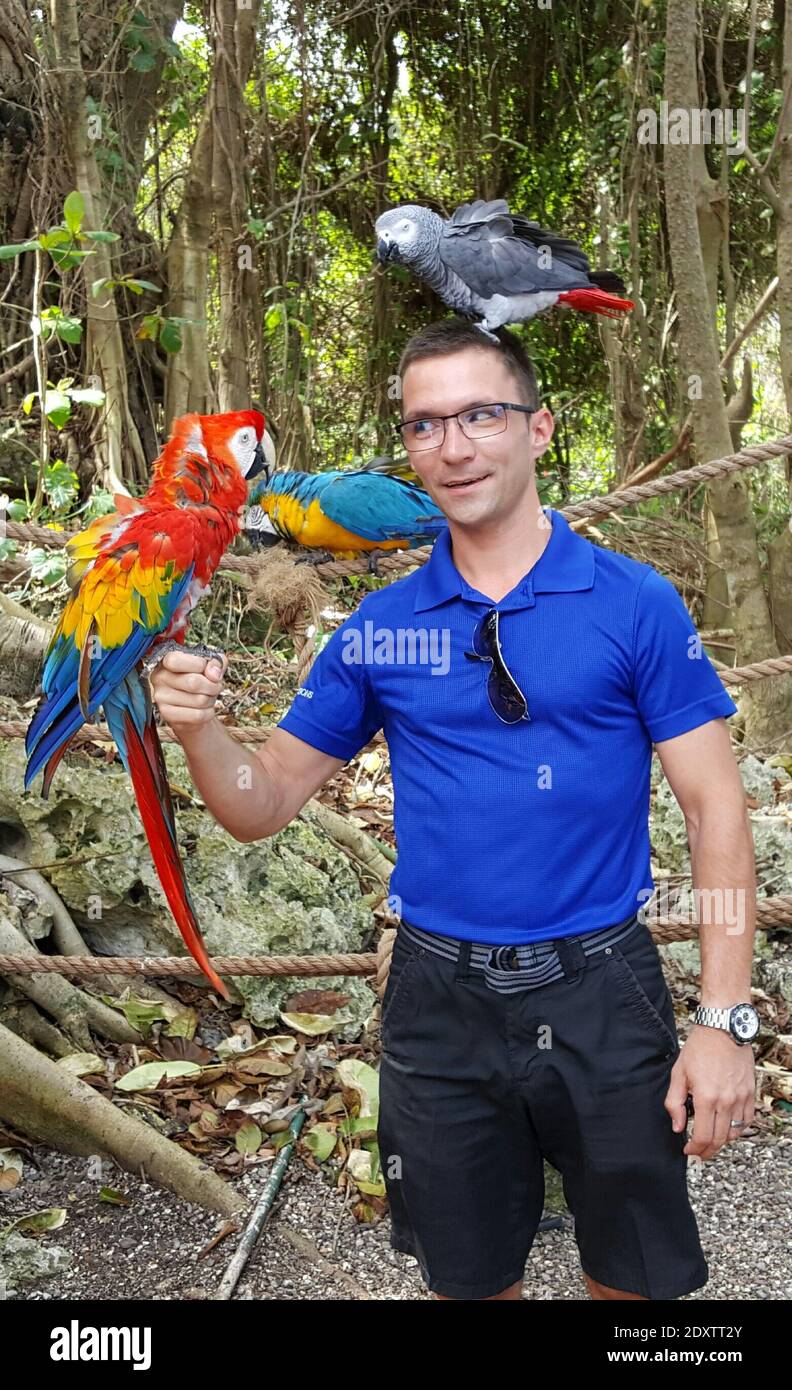 Real parrots hi-res stock photography and images - Alamy
