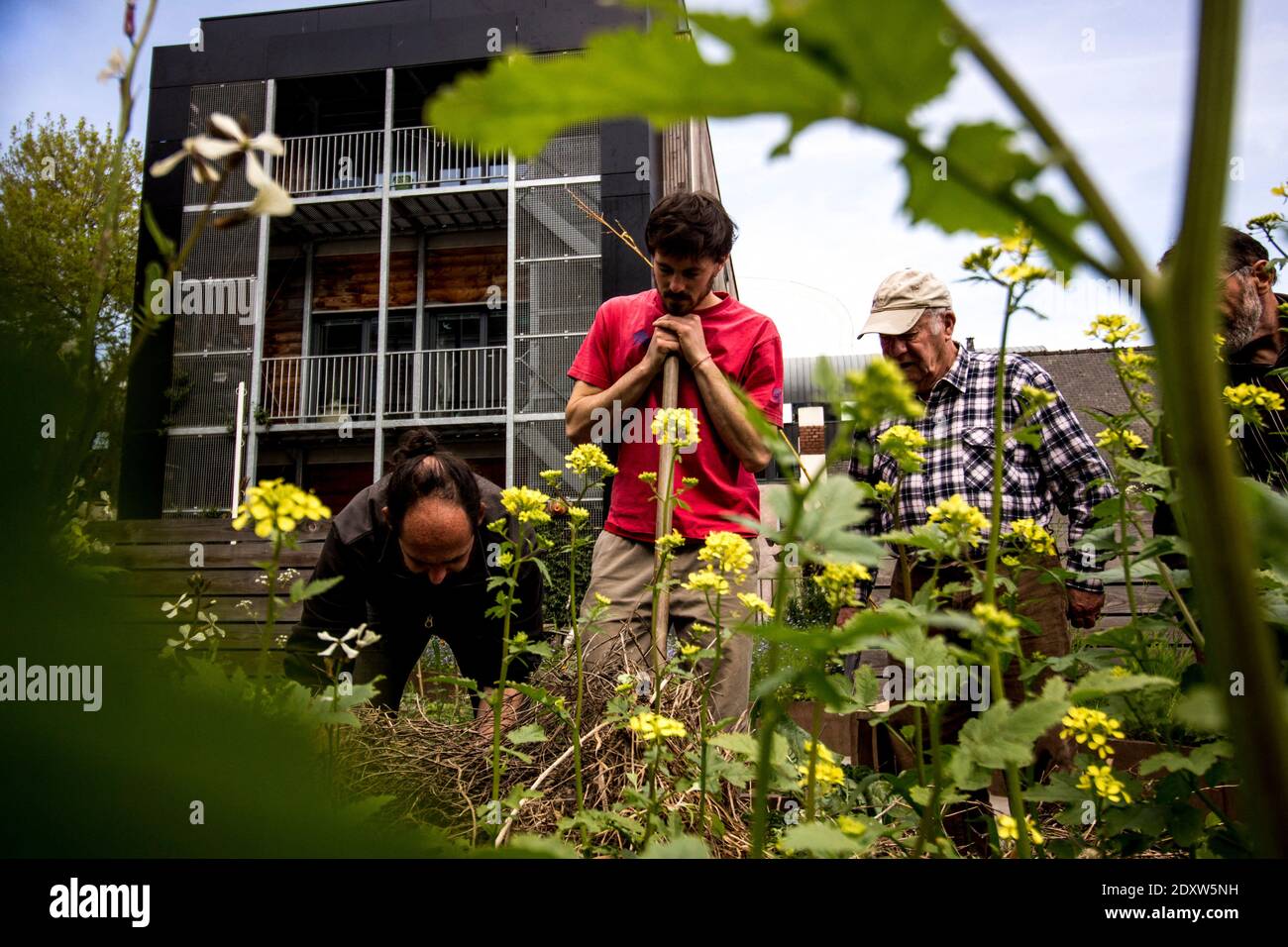 FRA - SOCIETY - GARDEN SHARED. The shared gardens propose to the ...