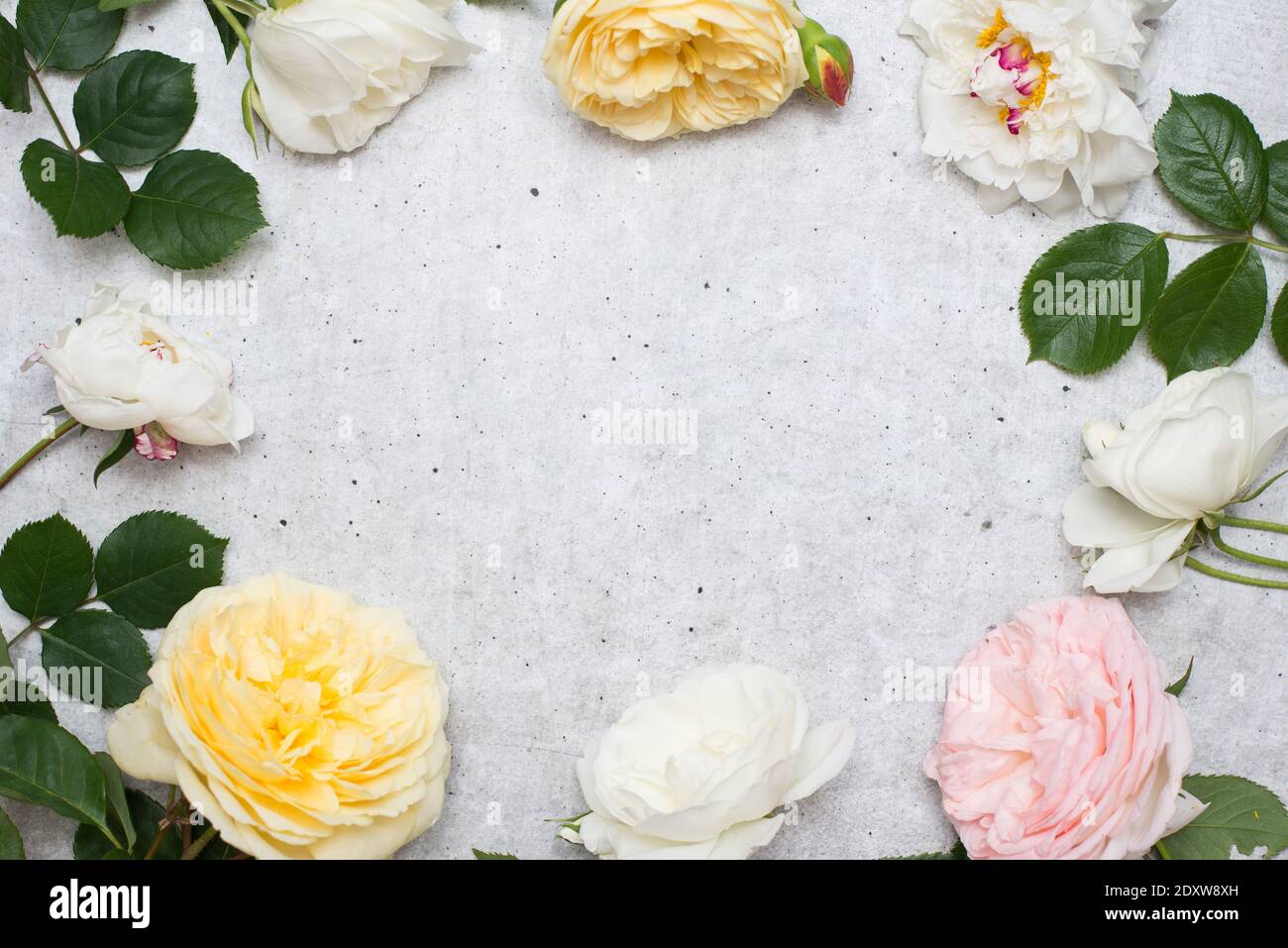 Fresh roses frame border on gray background, place for text Stock Photo ...