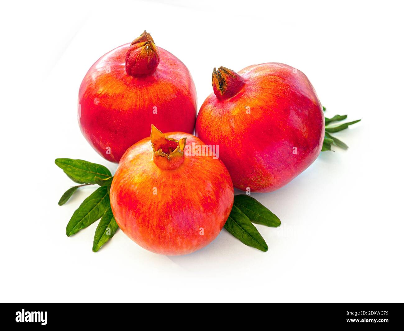 Pomegranate garnet fruit isolated on white. Fresh raw organic garnet ...
