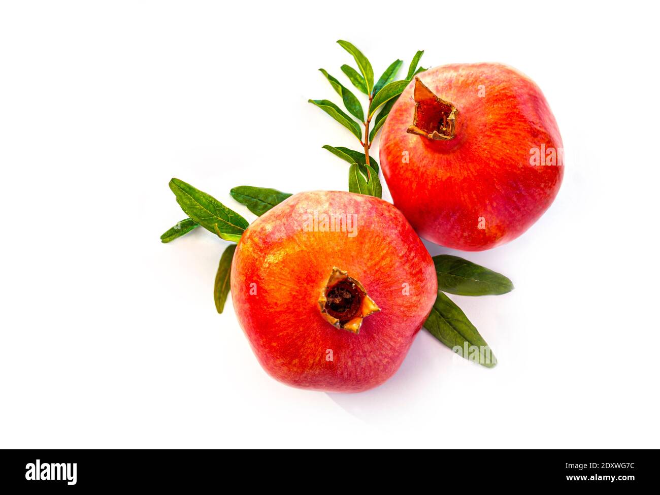 Pomegranate garnet fruit isolated on white. P Fresh raw organic garnet ...