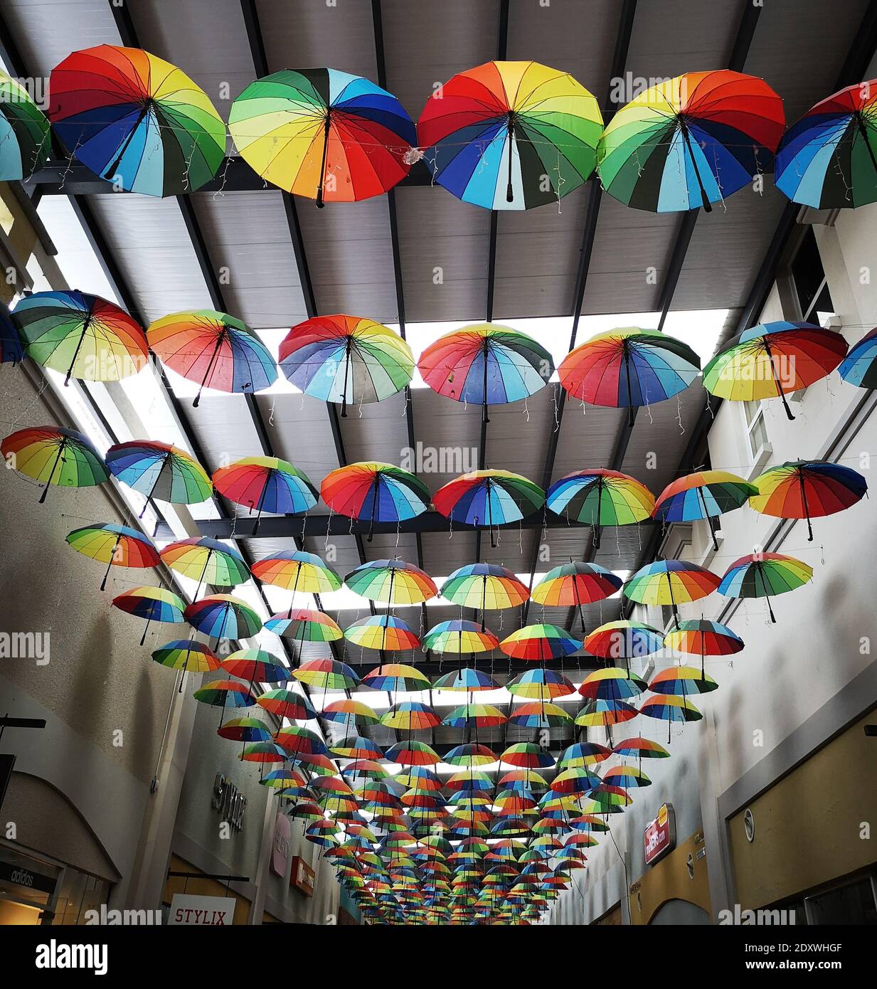 Umbrella hanging from ceiling hi-res stock photography and images - Alamy