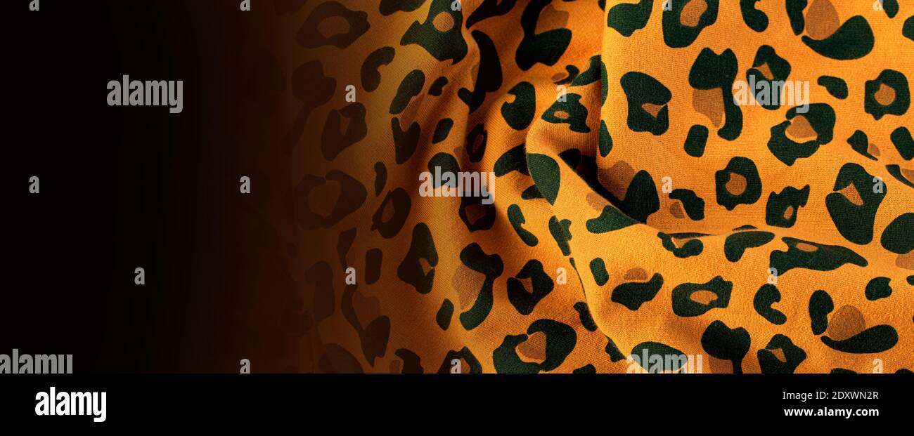 Leopard cheetah hi-res stock photography and images - Alamy