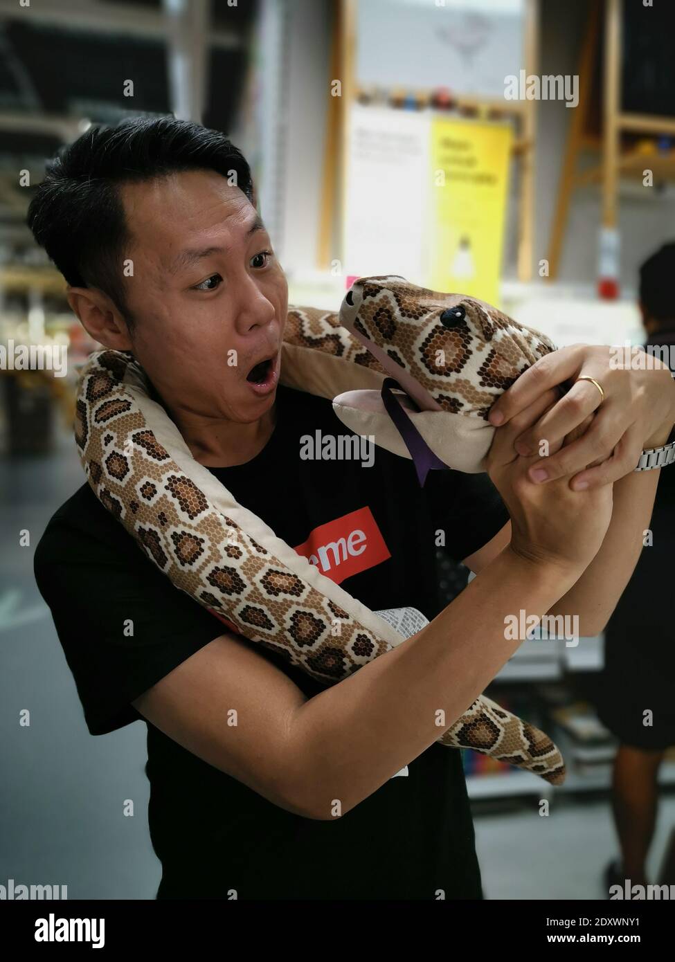 Man shock snake hi-res stock photography and images - Alamy