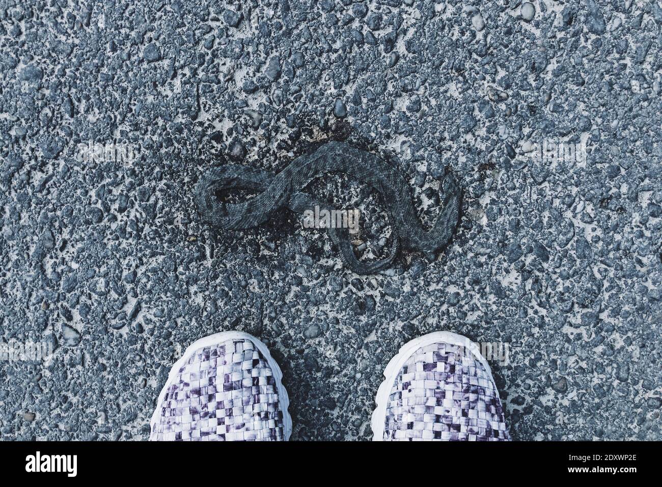 Leg snake shoe hi-res stock photography and images - Alamy