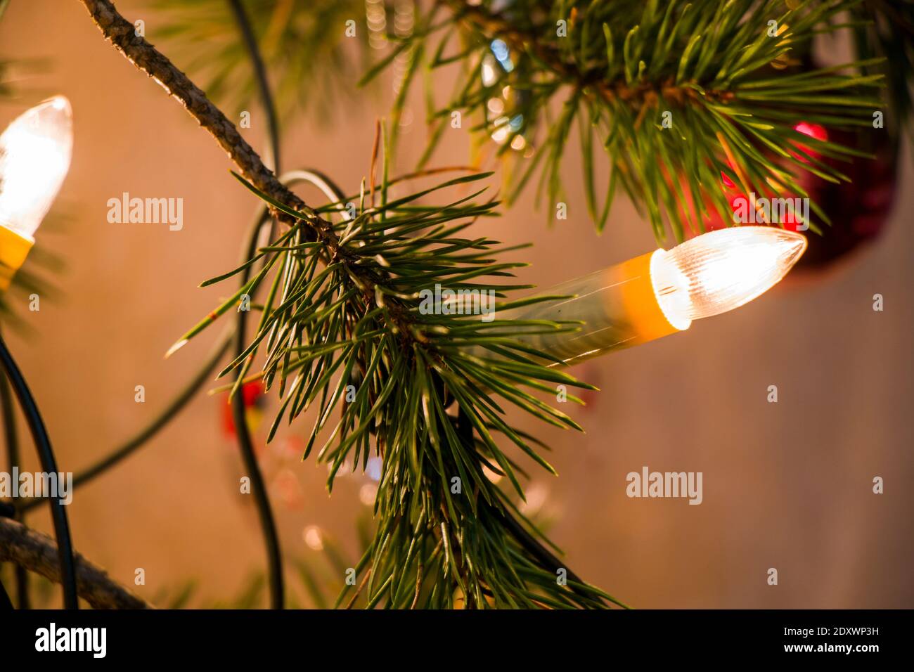 Christmas tree and lights, close-up Stock Photo - Alamy