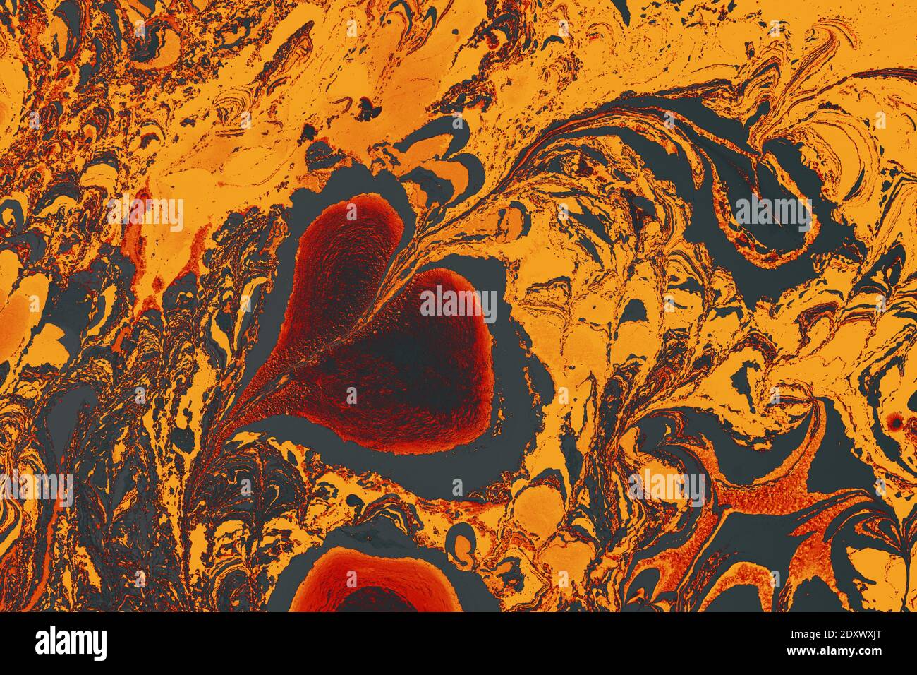 A beautiful abstract surface, fluid painting textures with vibrant ...