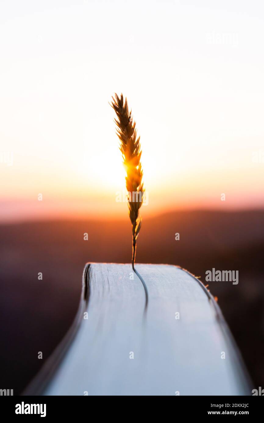 Inspiration hi-res stock photography and images - Alamy