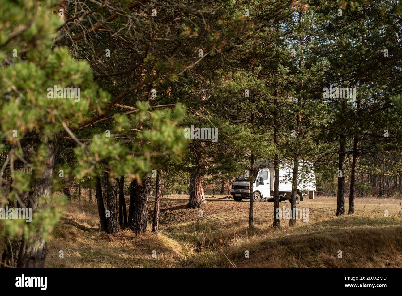 Abandoned caravan RV motorhome in the woods symmetry contrast sharp ...