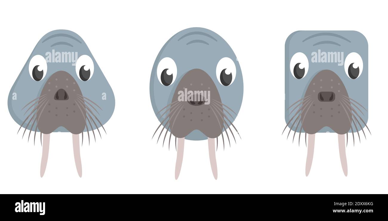Set of cartoon walruses. Different shapes of animal faces Stock Vector ...