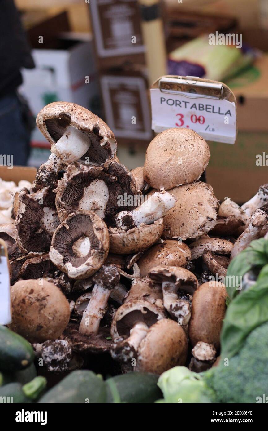 Large portobello mushrooms hi-res stock photography and images - Alamy