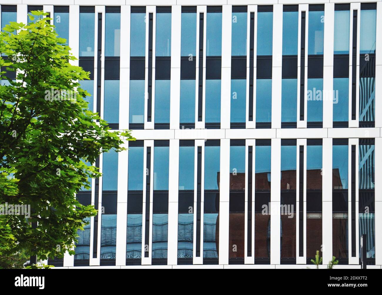 Modern Building With Reflection In Windows Stock Photo - Alamy