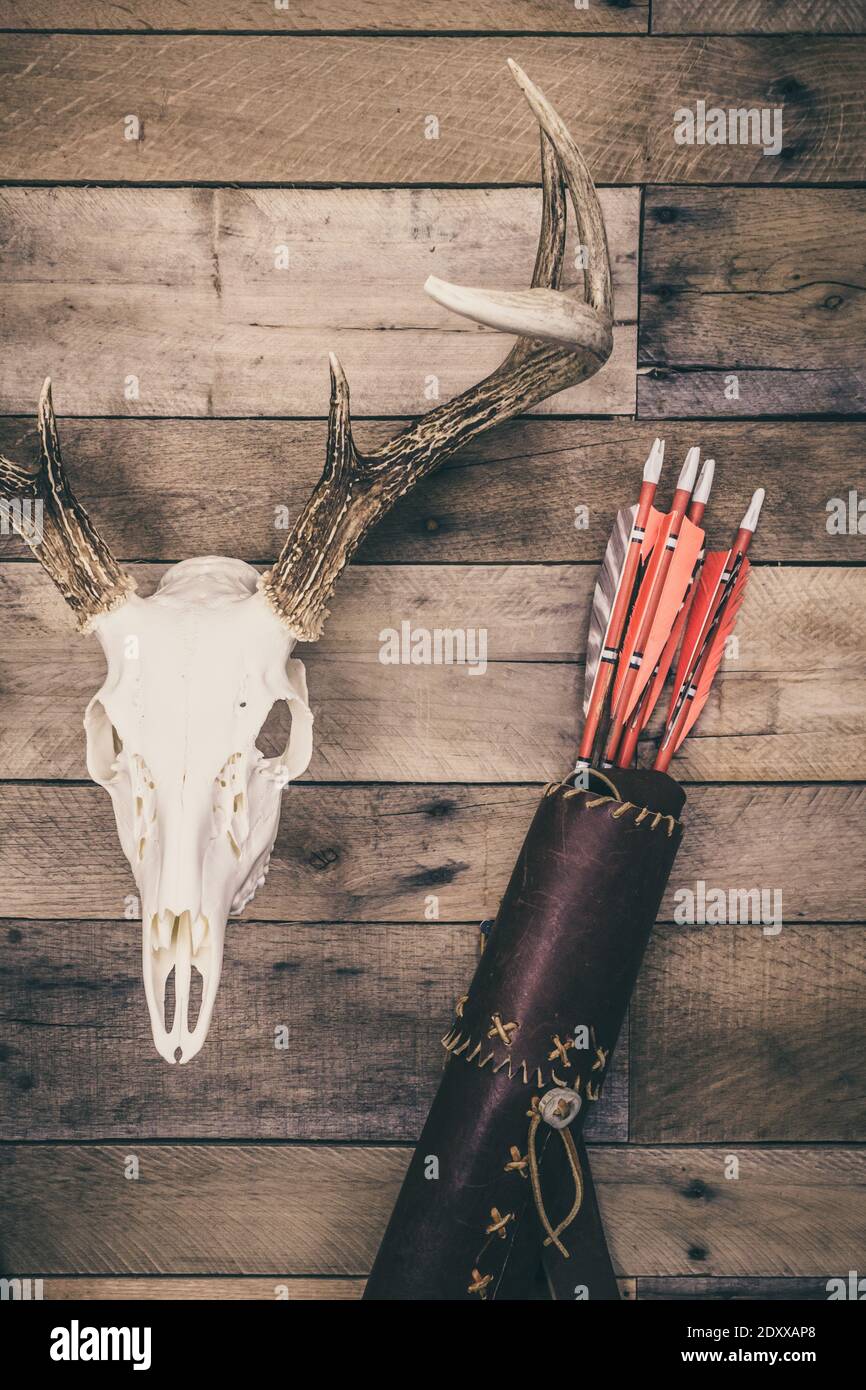 A traditional archery hunting scene with quiver of arrows and buck ...