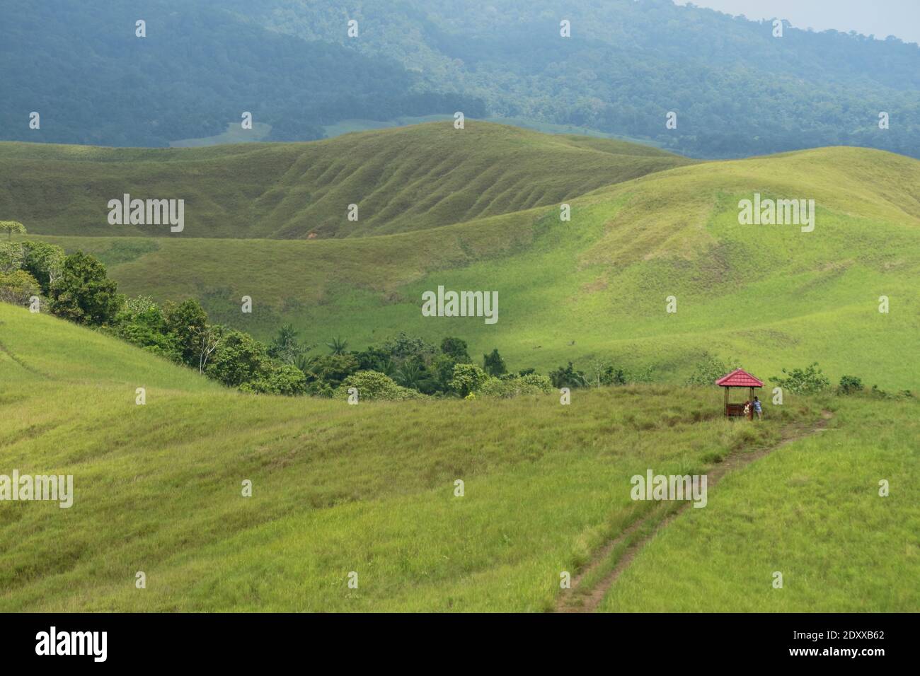 Papua indonesia mountains hi-res stock photography and images - Alamy