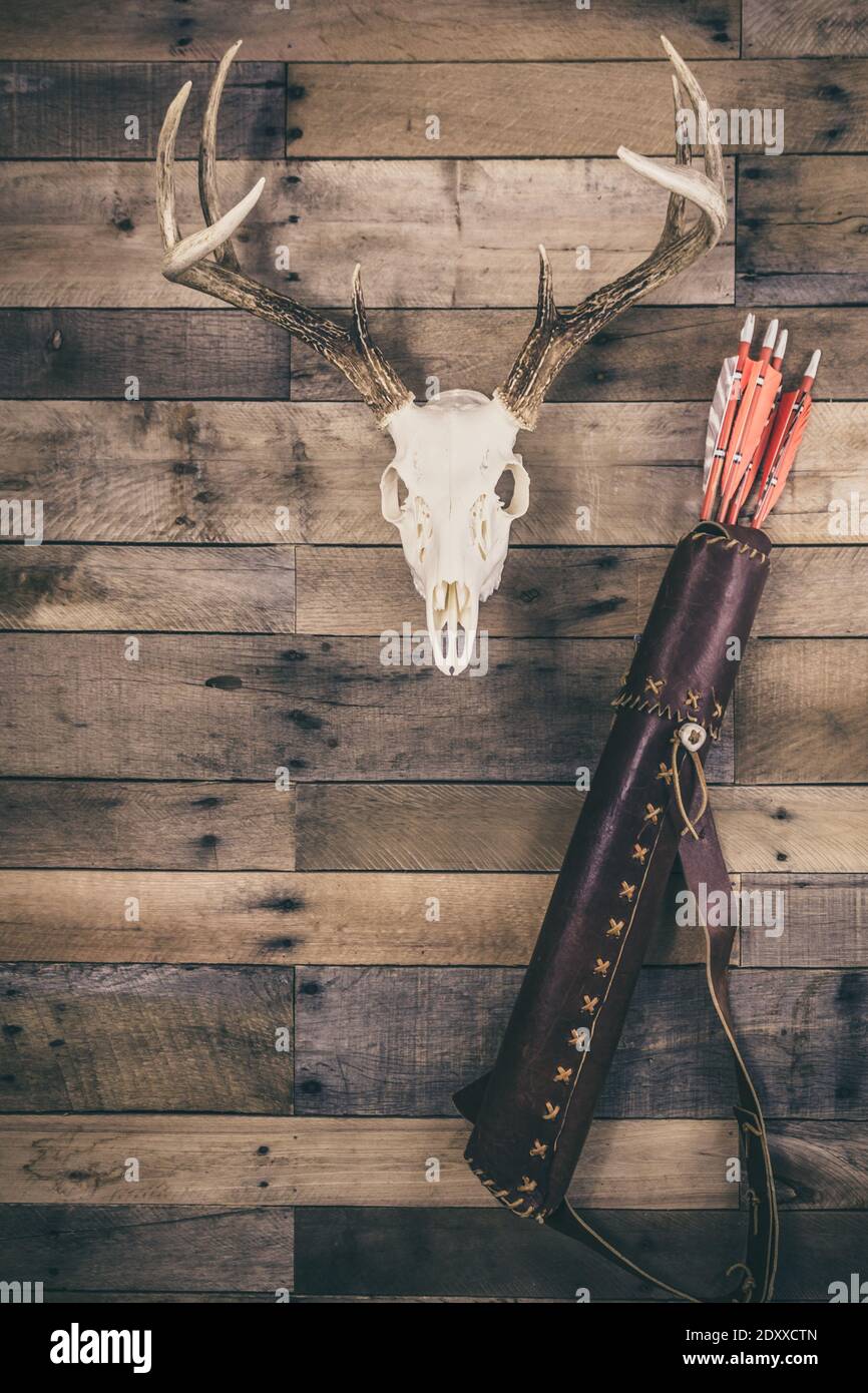 A traditional archery hunting scene with quiver of arrows and buck ...