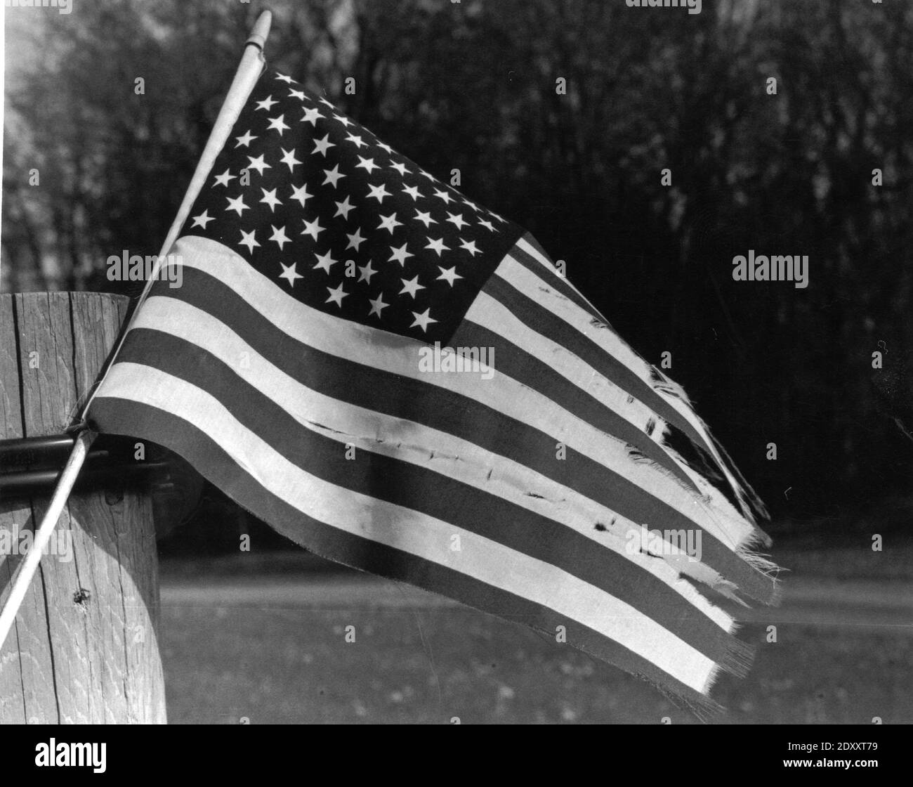 Frayed flag Black and White Stock Photos & Images - Alamy