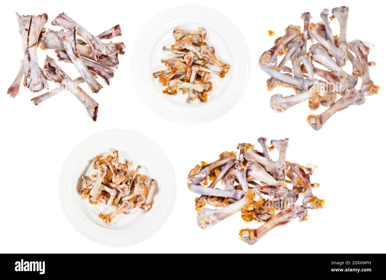 set of gnawed chicken bones isolated on white background Stock Photo ...