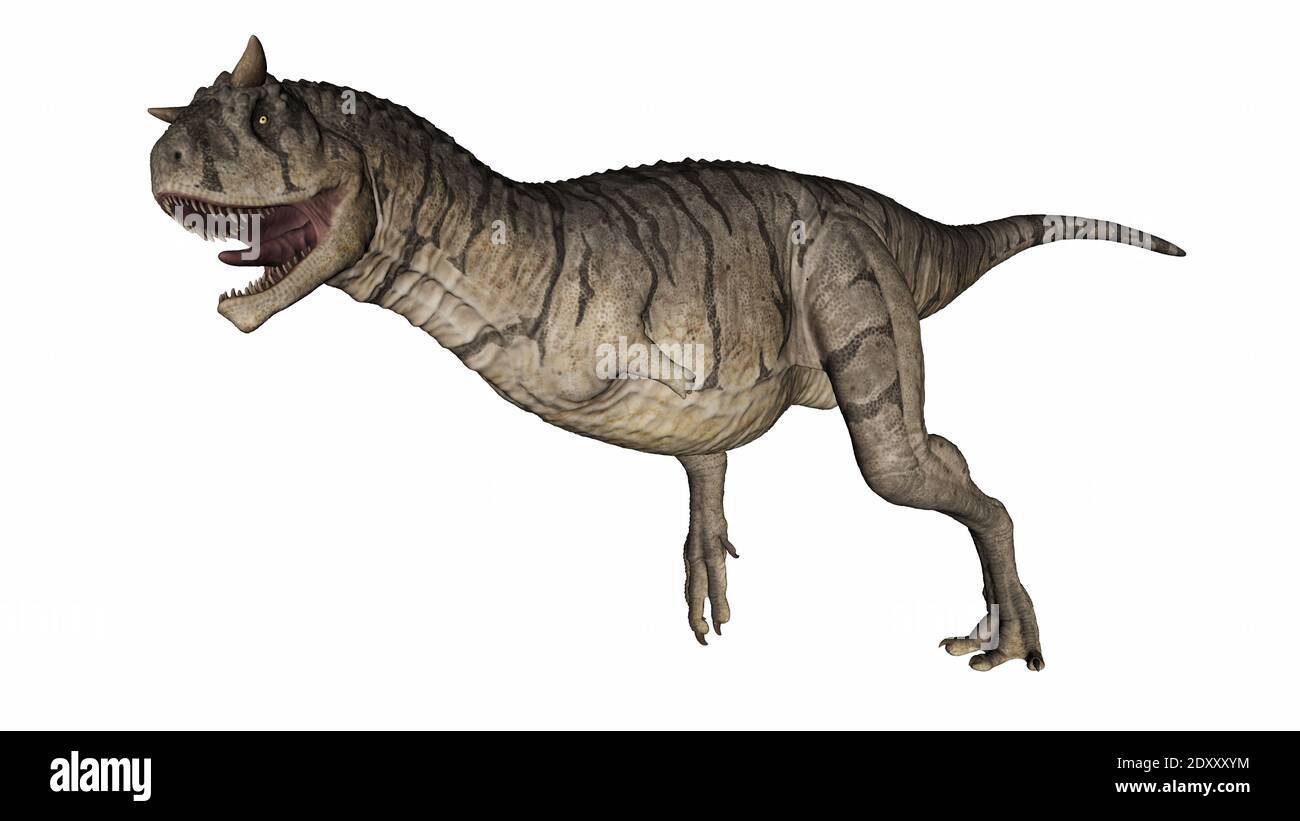 Carnotaurus dinosaur - 3D render Stock Photo - Alamy