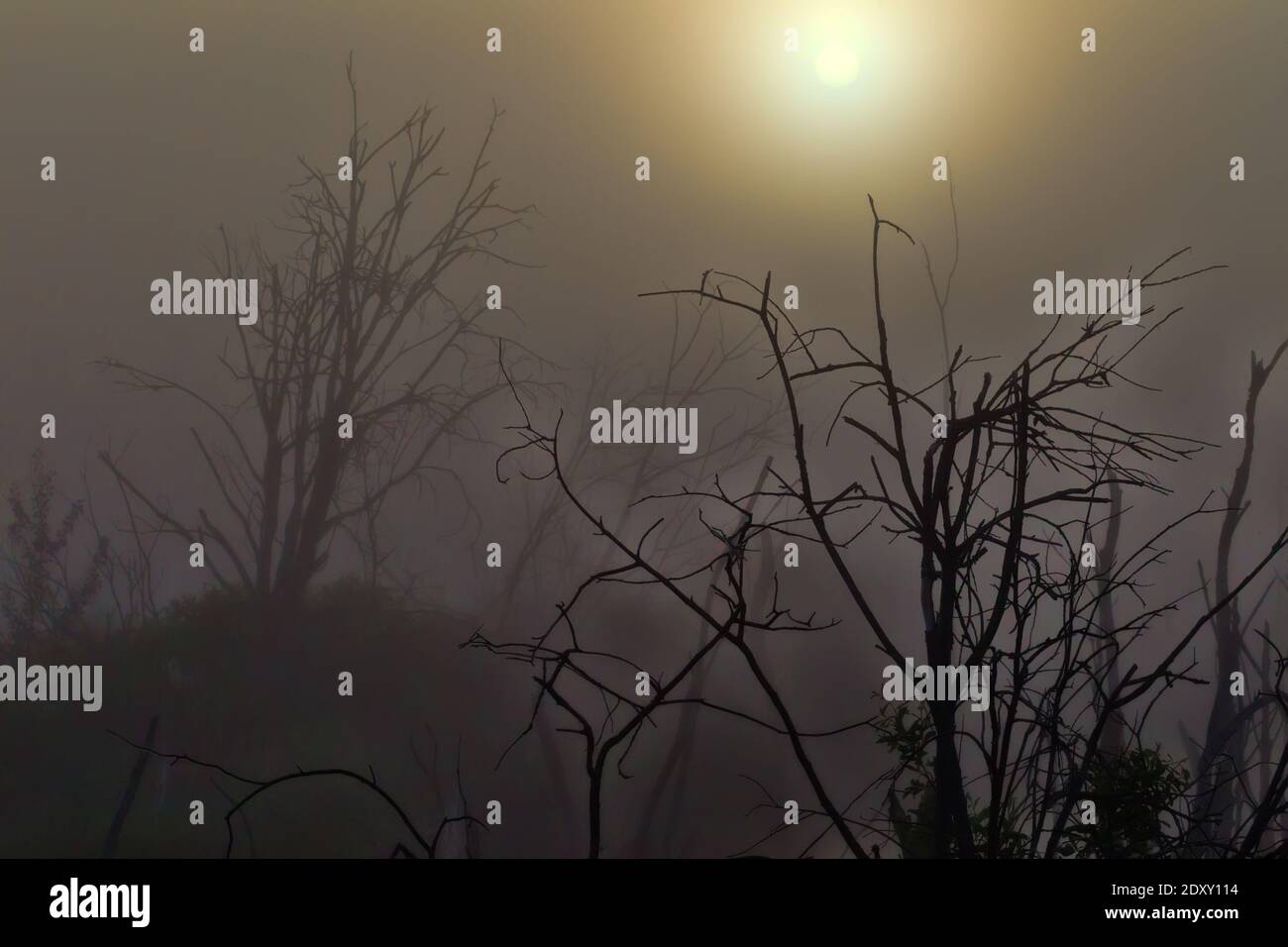 Mooning hi-res stock photography and images - Alamy