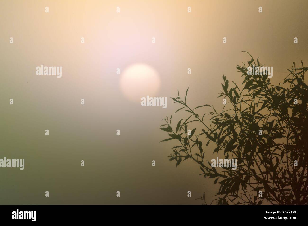 Poetic hazy sun. Minimal art Stock Photo - Alamy