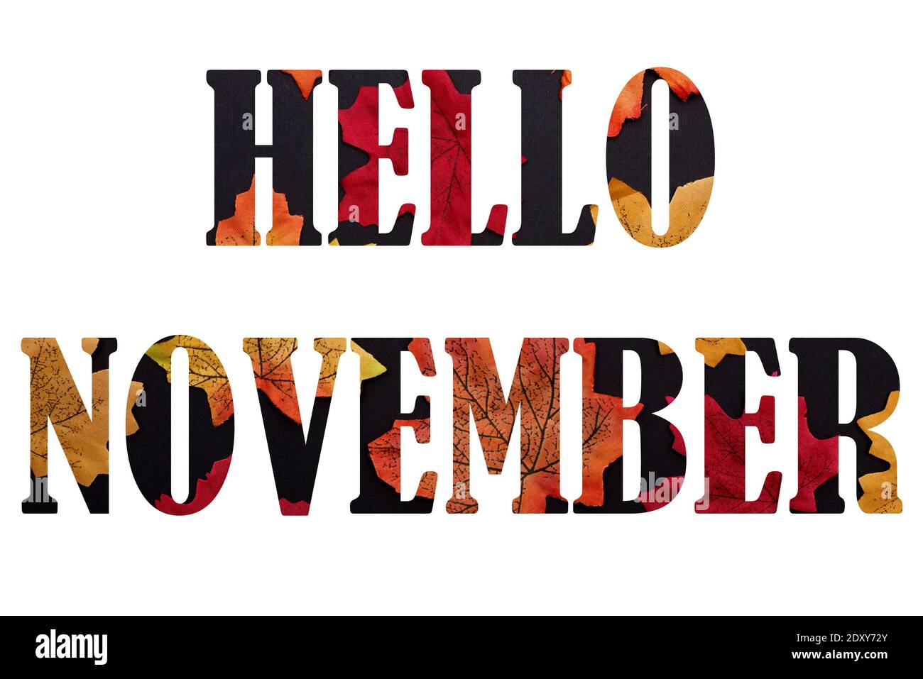 Hello november lettering sign from autumn leaves isolated on white ...