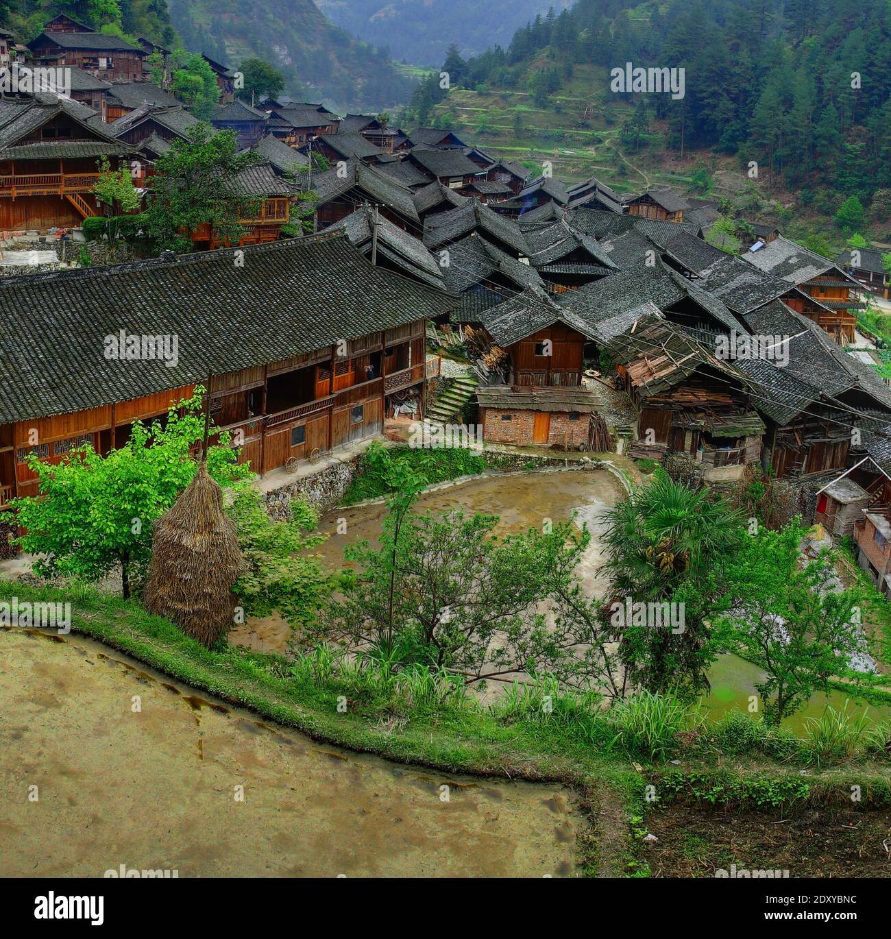Old Building By Trees In Village Stock Photo - Alamy