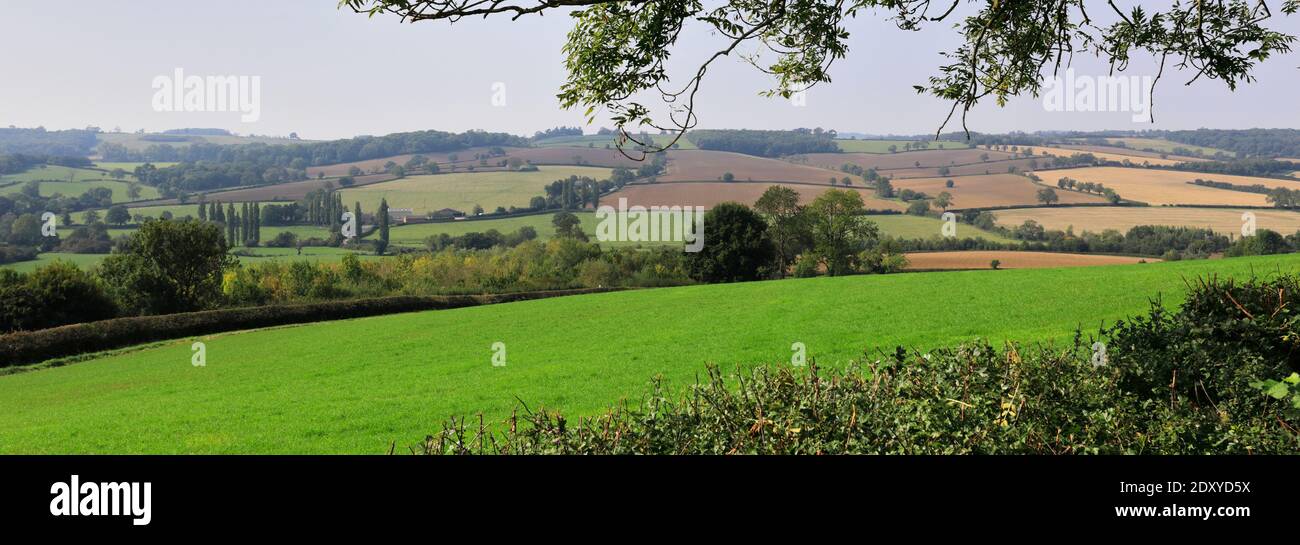 Summer view over fields near Uppingham Town, Rutland County, England ...