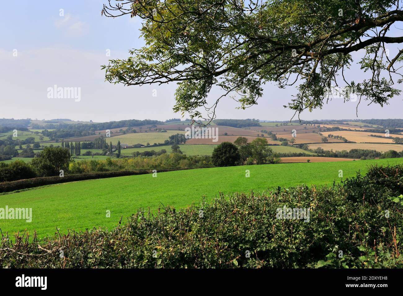 Uppingham walks hi-res stock photography and images - Alamy